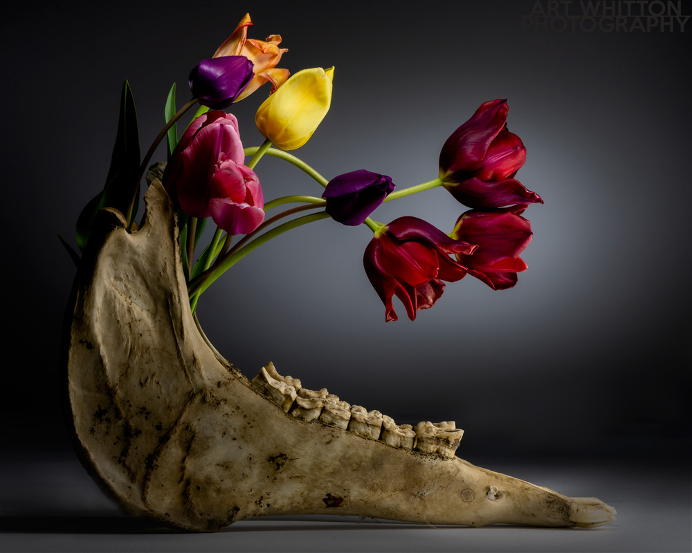 Art Whitton - Growth | LensCulture