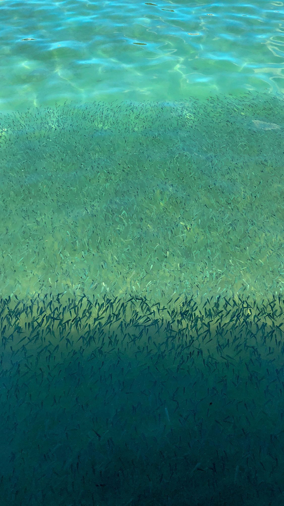 Mike Connerty - Untitled | LensCulture