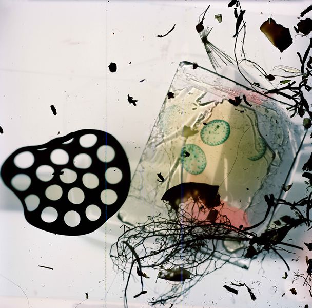 Outside In - Photographs and text by Stephen Gill | LensCulture