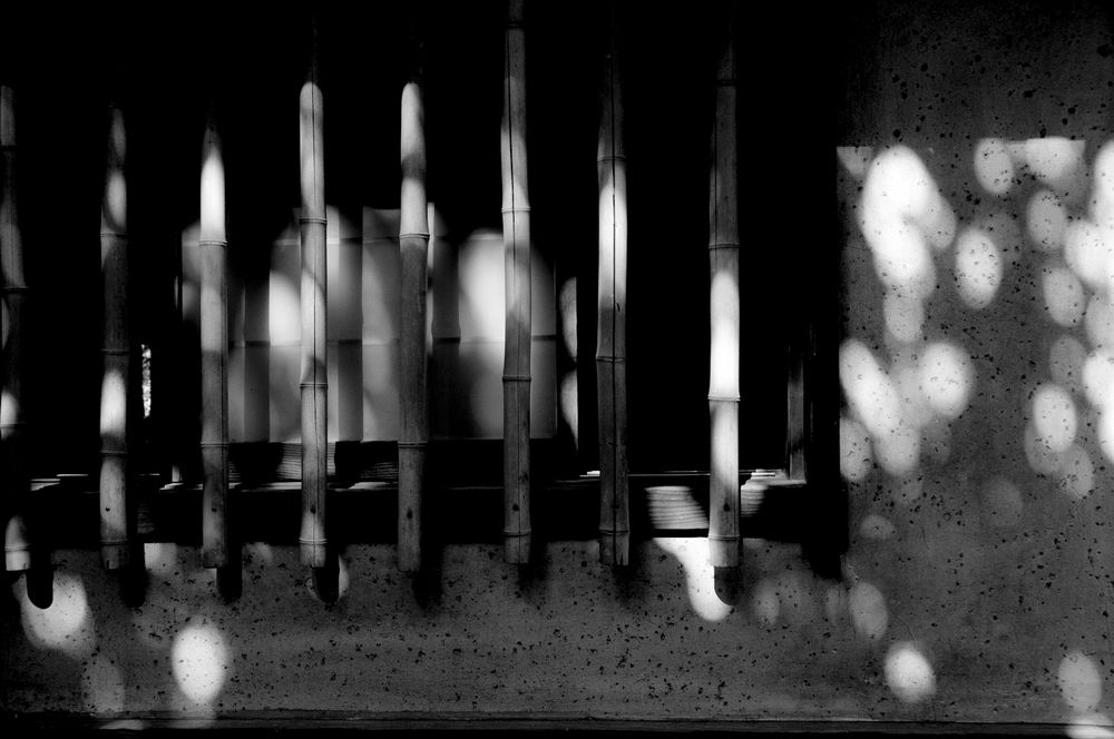 Celine Wu - Tokyo-Ga, Memory of the Forest - Mejiro | LensCulture