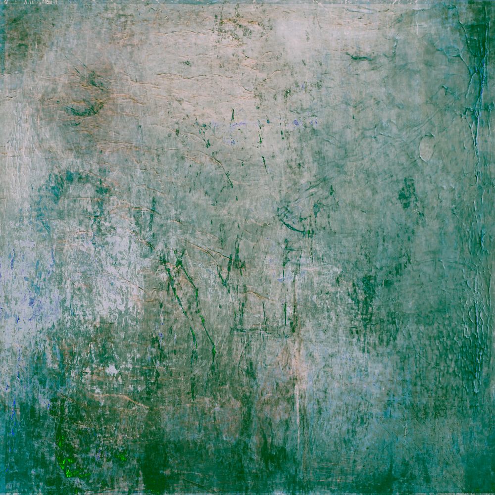 frances seward - Transparency | LensCulture