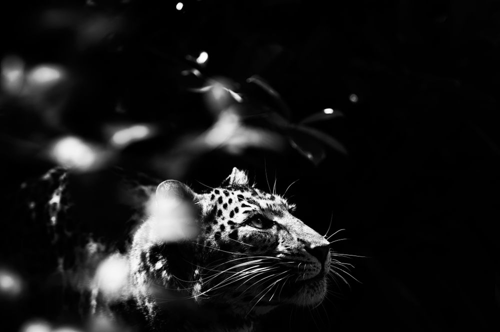 Amanda Hawes's Instagram, Twitter & Facebook on IDCrawl