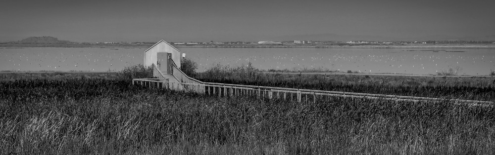 Alfred Leung - Untitled | LensCulture