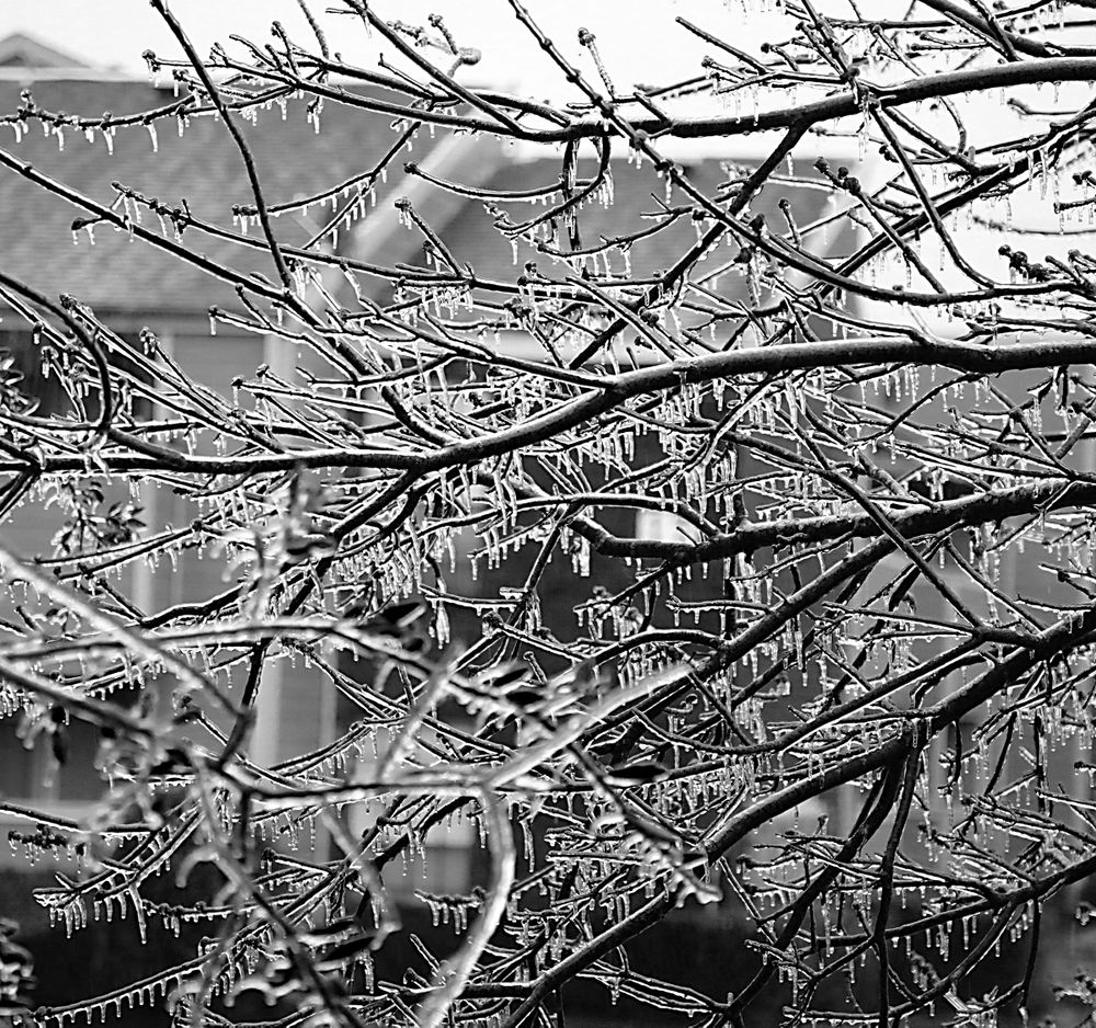 Joseph Dusek, Jr - Submission | LensCulture