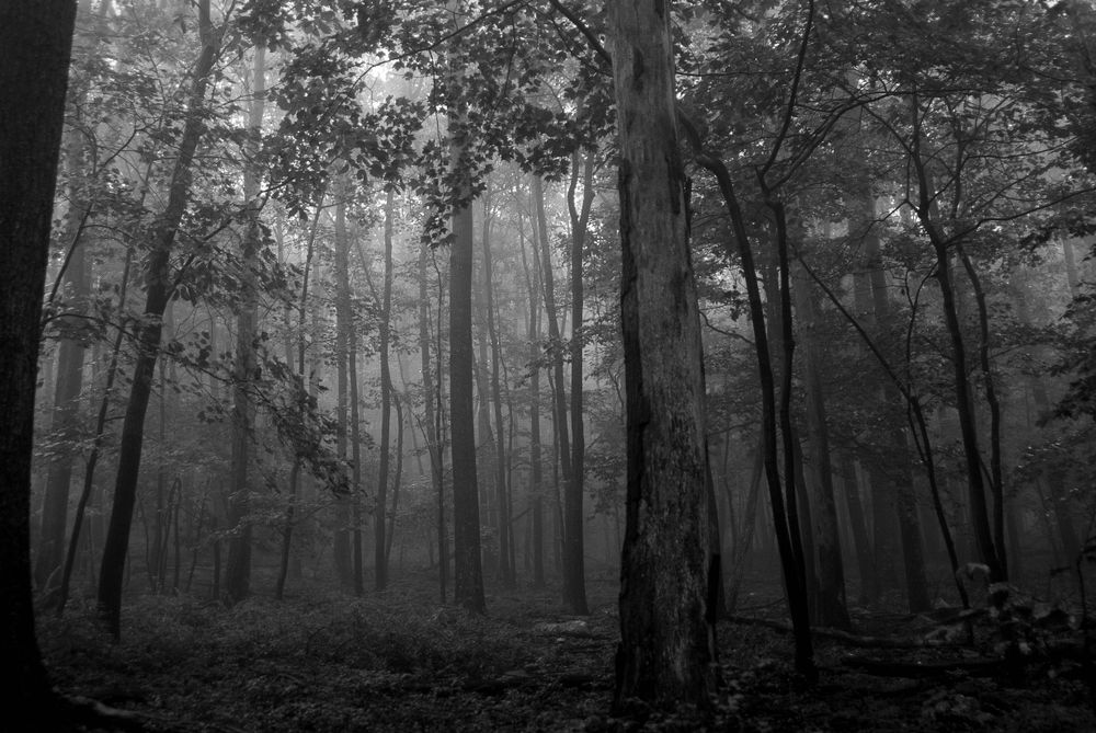 Kenneth Sapp - Submission | LensCulture