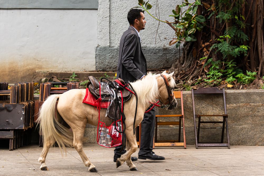 Elizabeth Machado - Street Submission | LensCulture