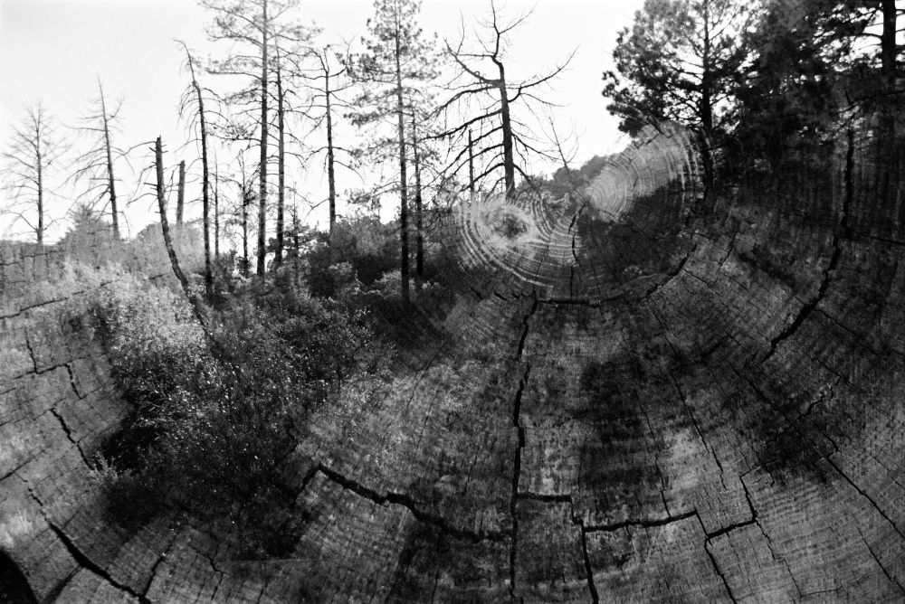 Michael Kenneth Depue - Visual Storytelling by Michael Kenneth Depue ...