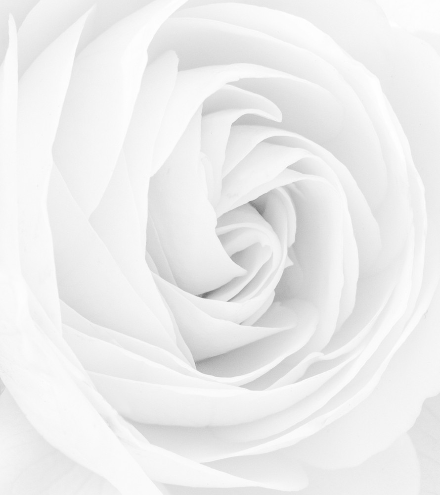 Lynn Beeler | Black & White Photography Awards 2021 Entry