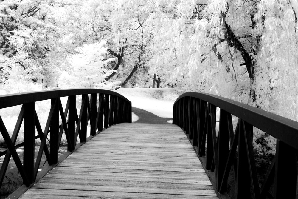 Natalie McGuire - One Last Road Trip? | LensCulture