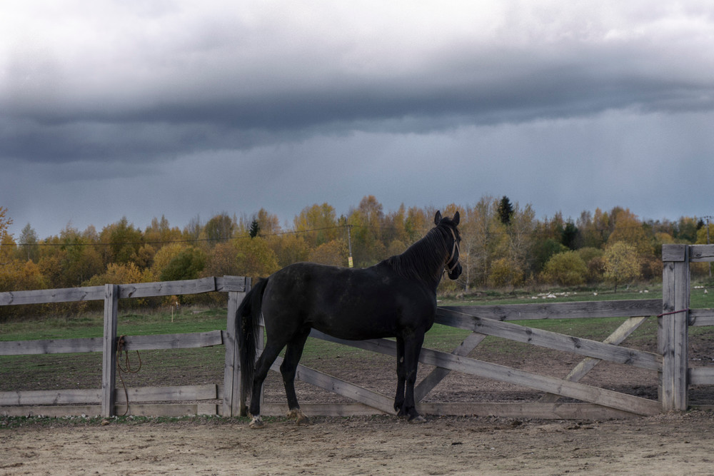 Russian farm - LensCulture