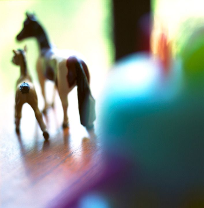 Eliza Lamb - Naptime: The World at Two | LensCulture