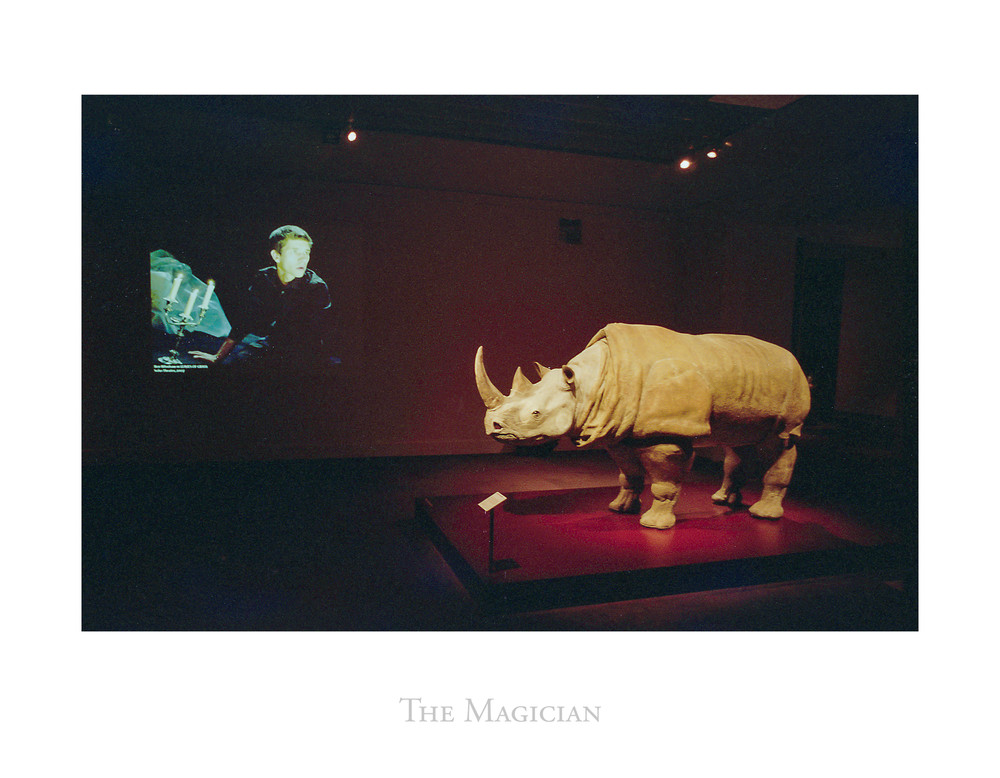 Timothy Mickleburgh - The Fool's Progress | LensCulture