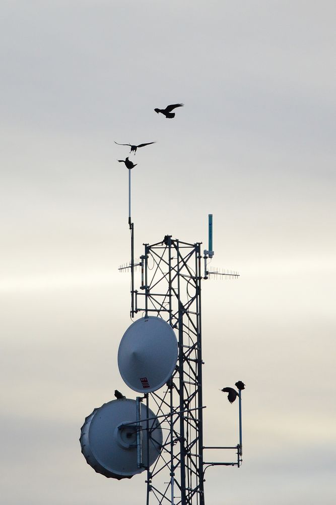 John Pennell - Season of the Raven | LensCulture