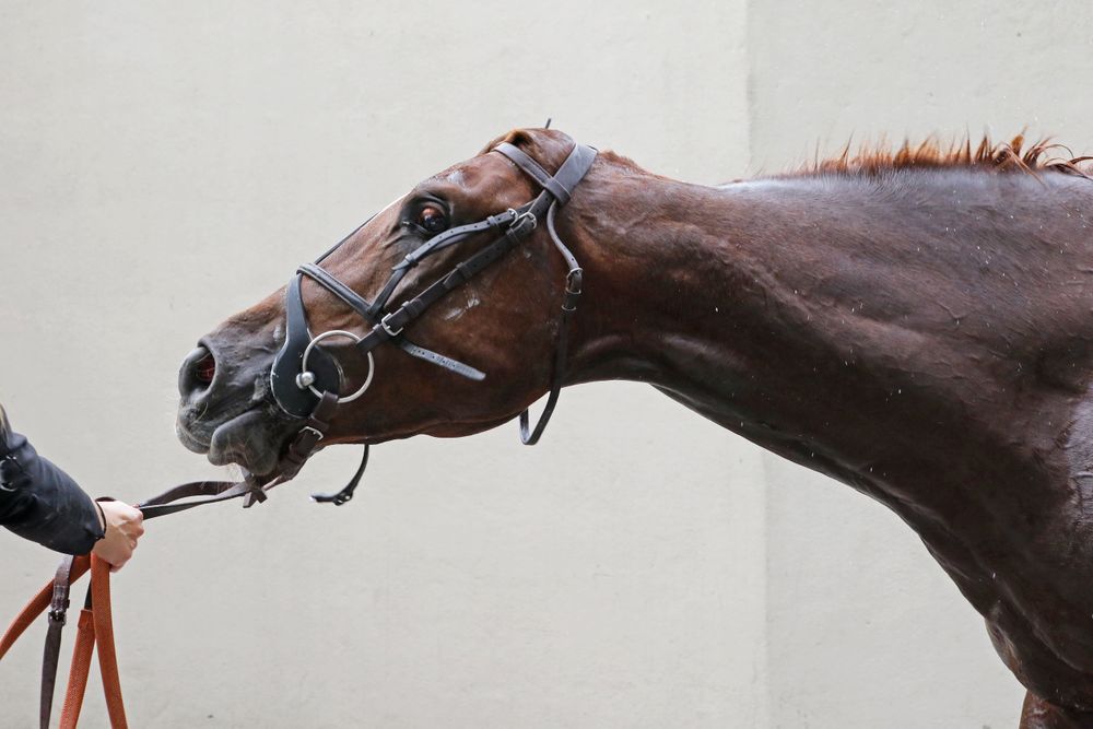 Debbie Burt - Untitled | LensCulture