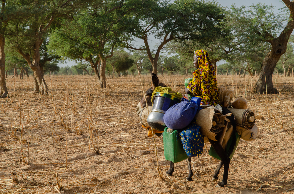 Annie Debroux | HOME '21 International Photo Prize Entry