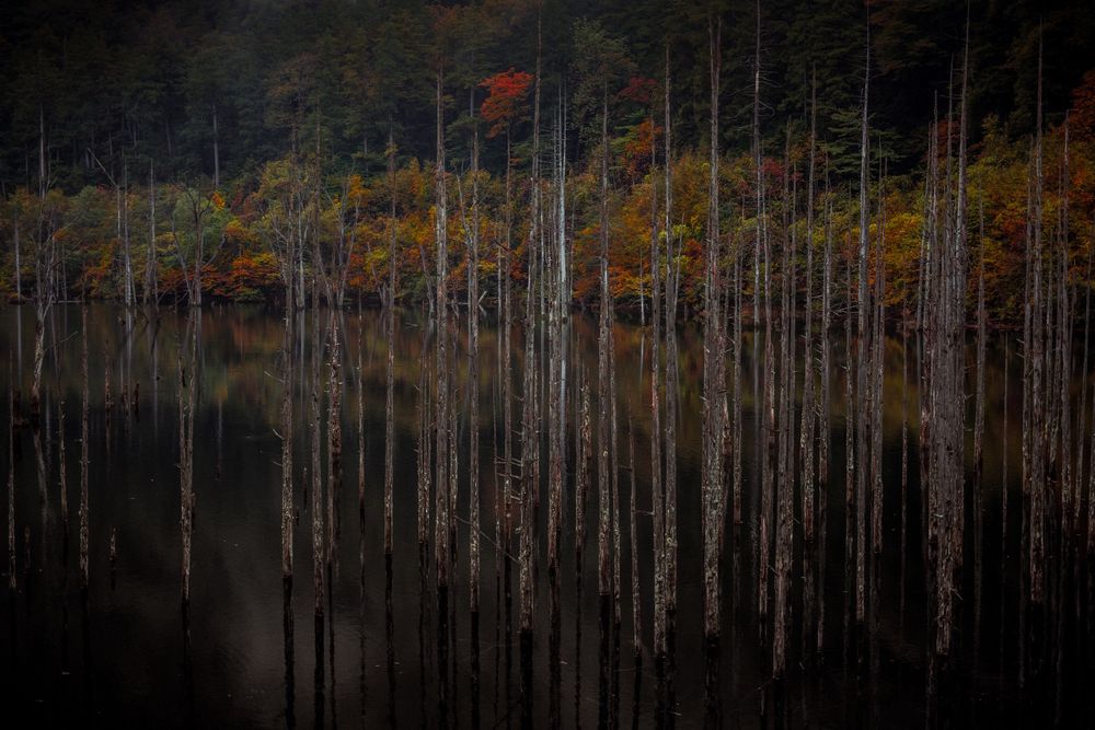 Hidenobu Suzuki - Ontake Pond: Location That Was Born In The Earthquake ...