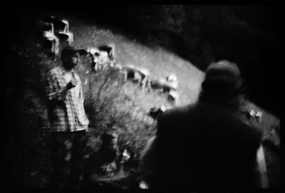 Jost Franko - Shepherds | LensCulture