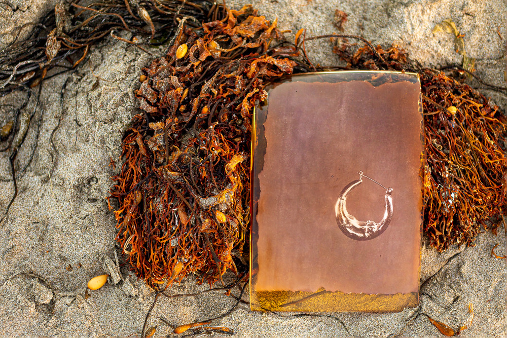 Kalvino Coria - Amber-types: Family Preservation/Taxonomy | LensCulture