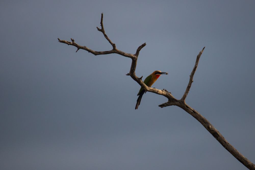 Stephanos Constantinou - Beauty around us | LensCulture