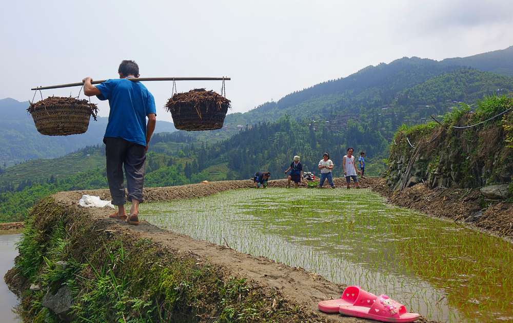 China 2019 - Tulou Clusters, Zhangjiajie, Fenghuang Ancient City and ...