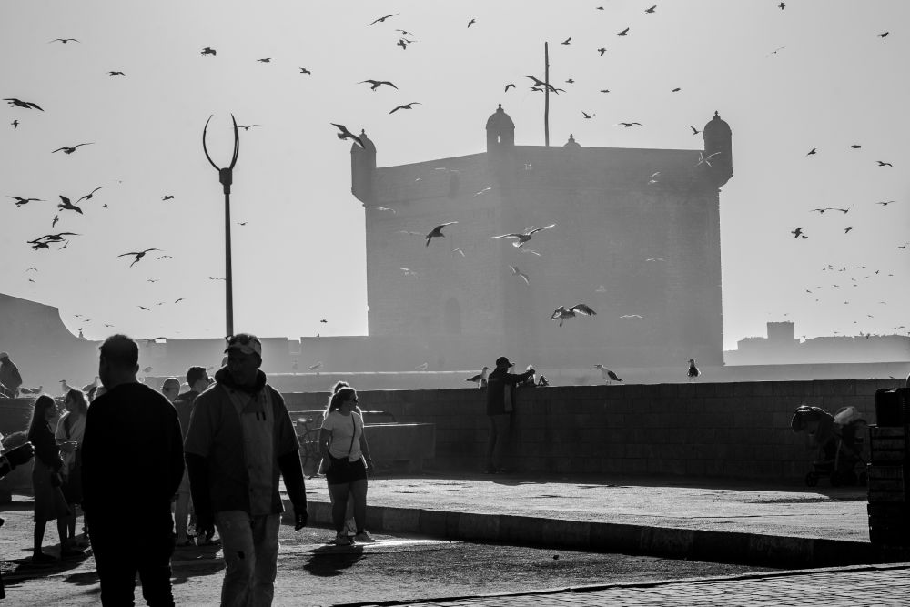 Maria Bader - Market life in Essaouira and Had Draa, Morocco | LensCulture
