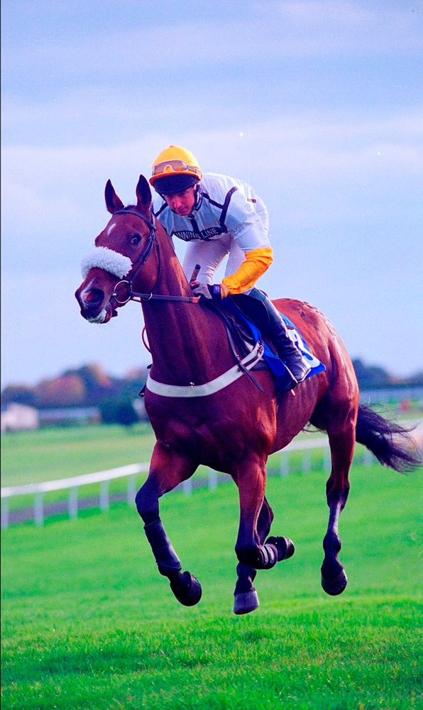 phil horey - National Hunt racing | LensCulture