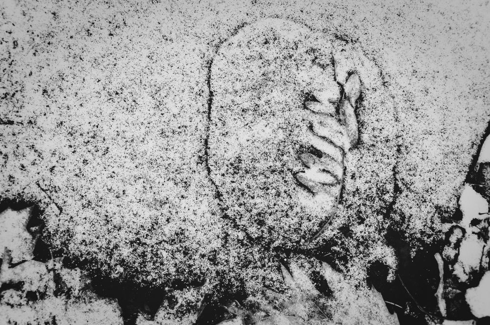 Stéphanie Benoit - Submission for the Black & White Photography Awards ...