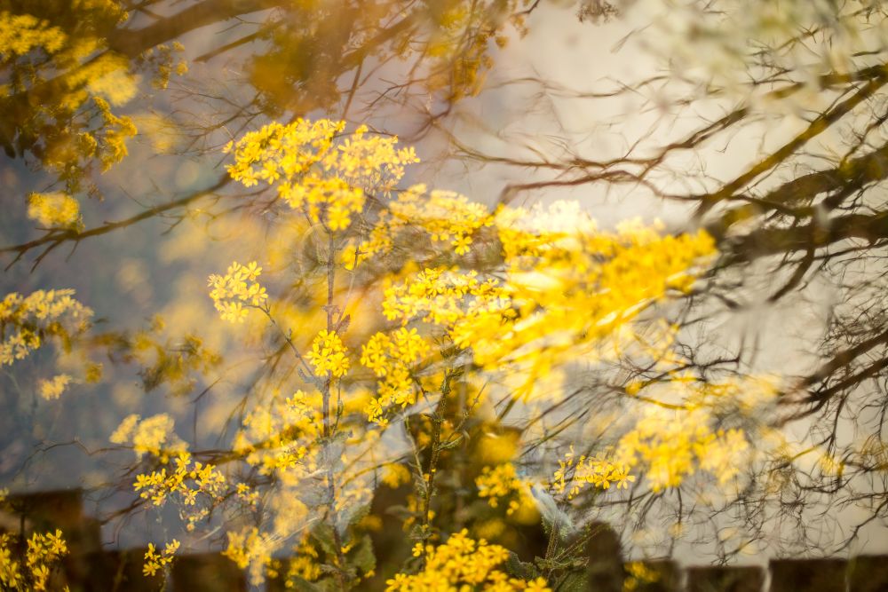 Natalie Goldsmith - Water | LensCulture