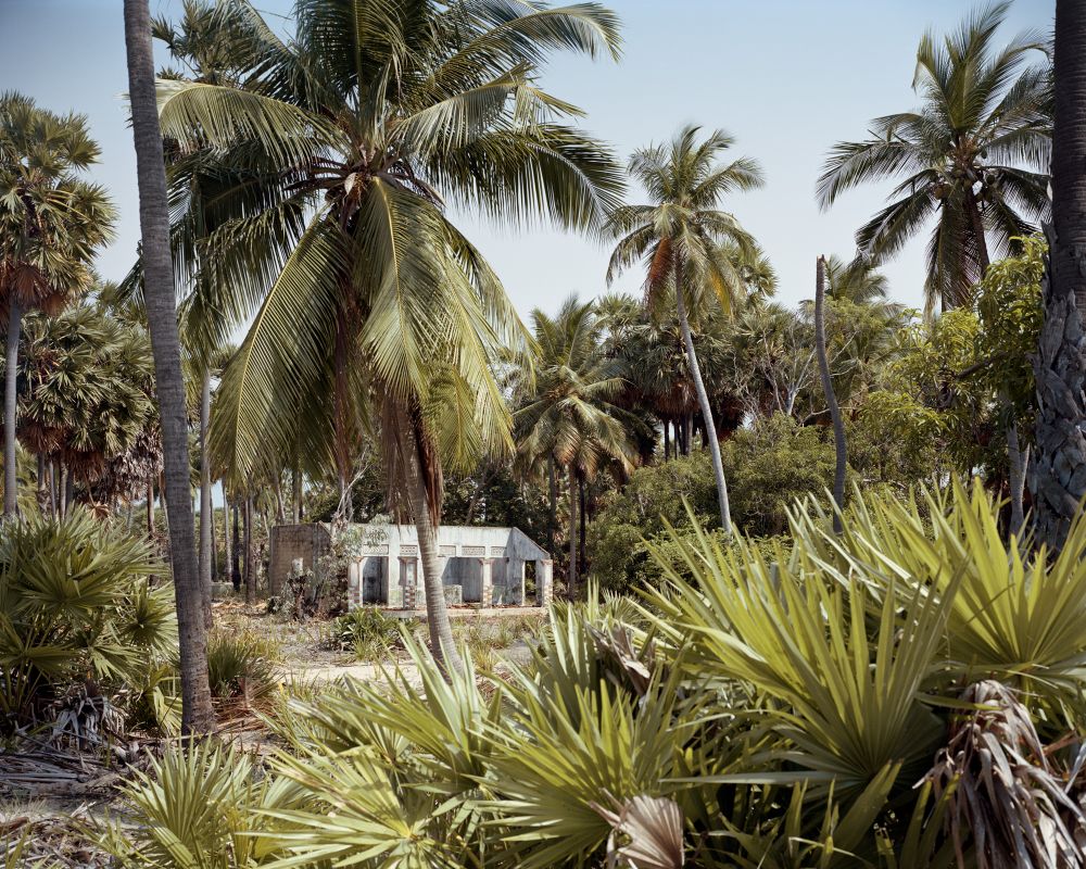 Bram Schilling - UNDER THE PALMYRA TREE: Sri Lanka's scarred Tamil ...