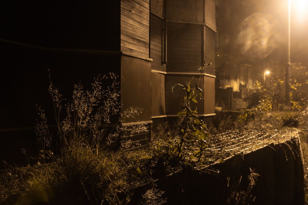 Richard Freestone - The walk into town. | LensCulture