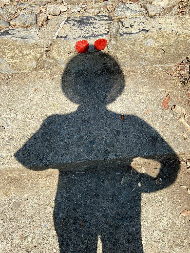 Fred Nogier - Shadow Self-Portrait | LensCulture