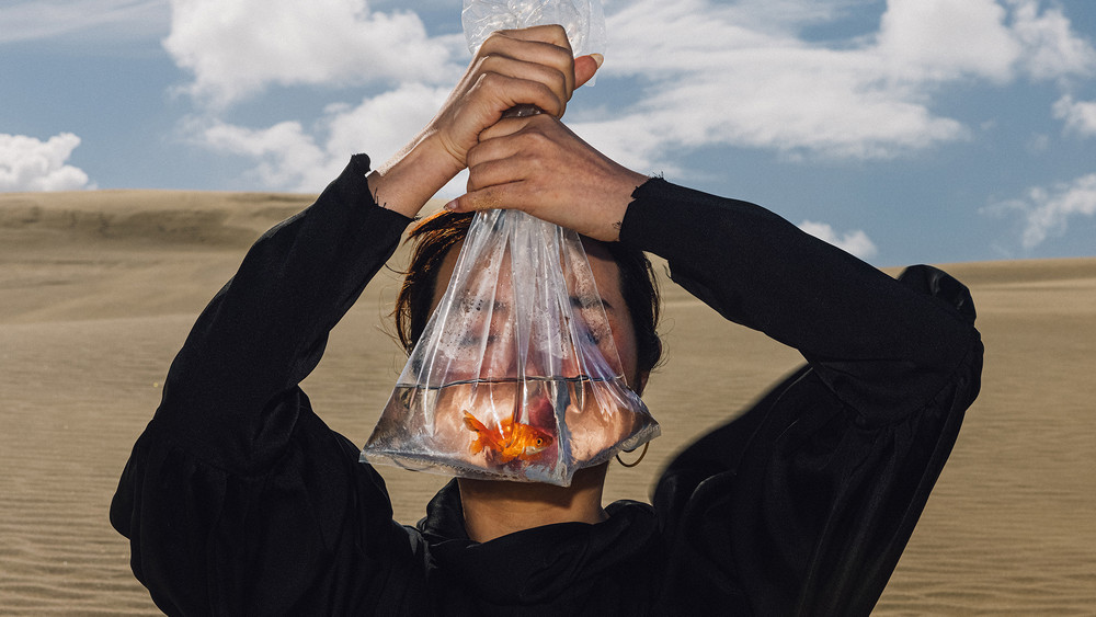 Xing Shi - Desert Fish | LensCulture