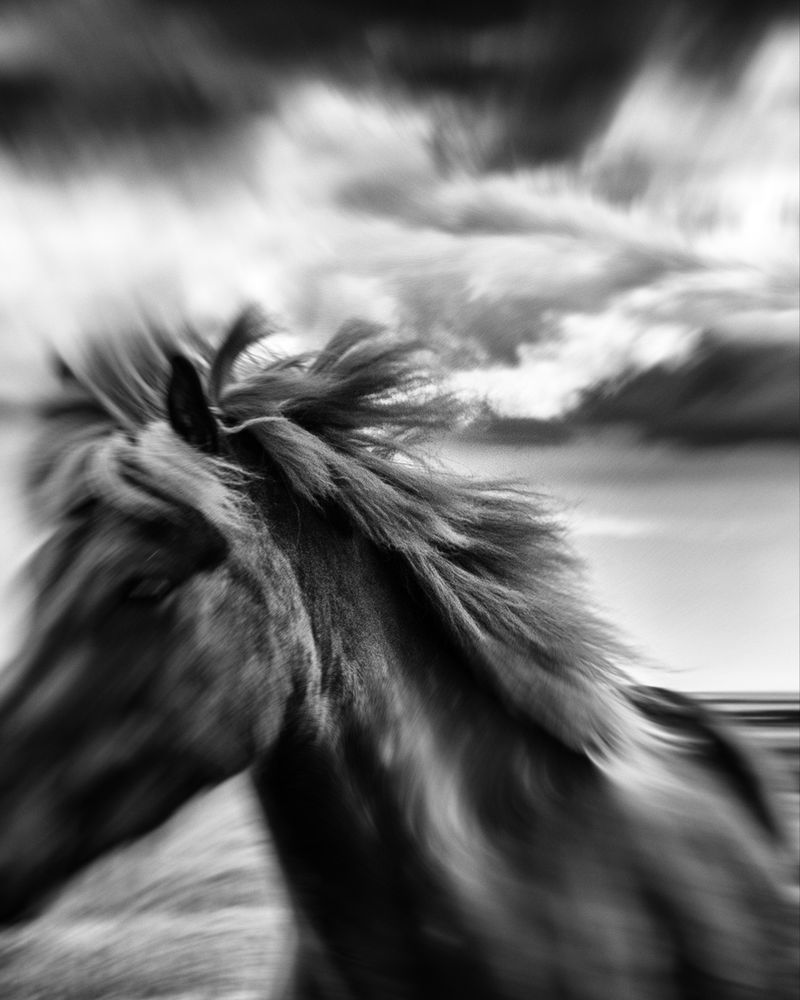 Murray Sye - Random collection | LensCulture