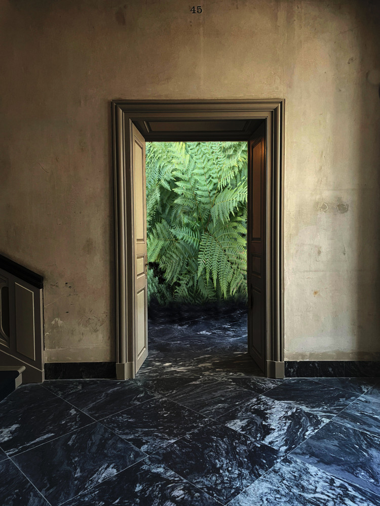 Joy Sussman - Room 45 | LensCulture