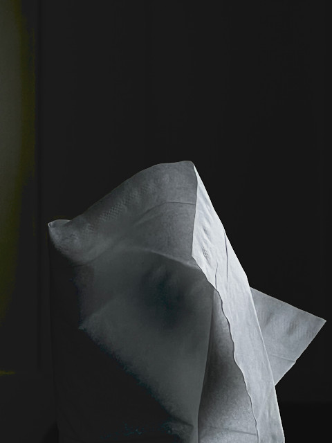 Robert Adler - The Shape of Things (20 images that comprise a first ...