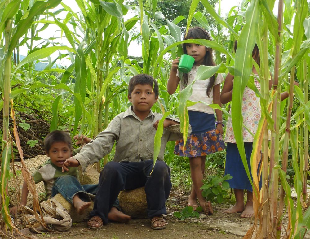 Denise Lechner Edelkind - Eyes | LensCulture