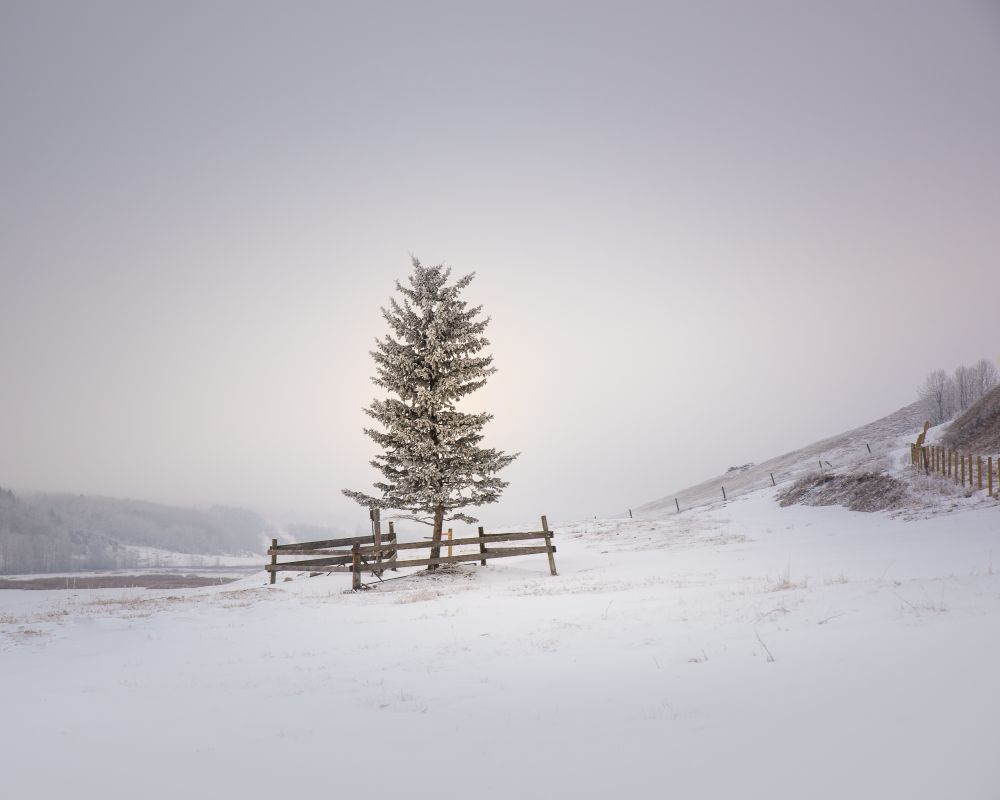 Steve Blackwell - Untitled | LensCulture