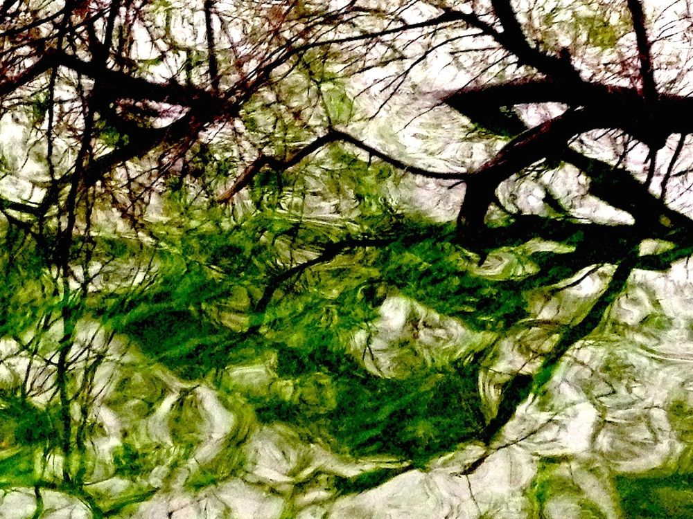 Saba Hasan - walking in deer park | LensCulture