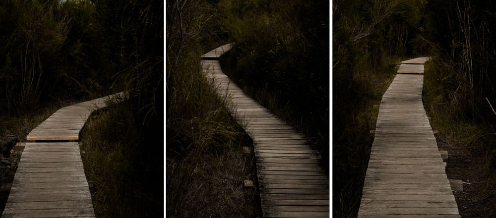 Ross Duncan - A bush idyll | LensCulture