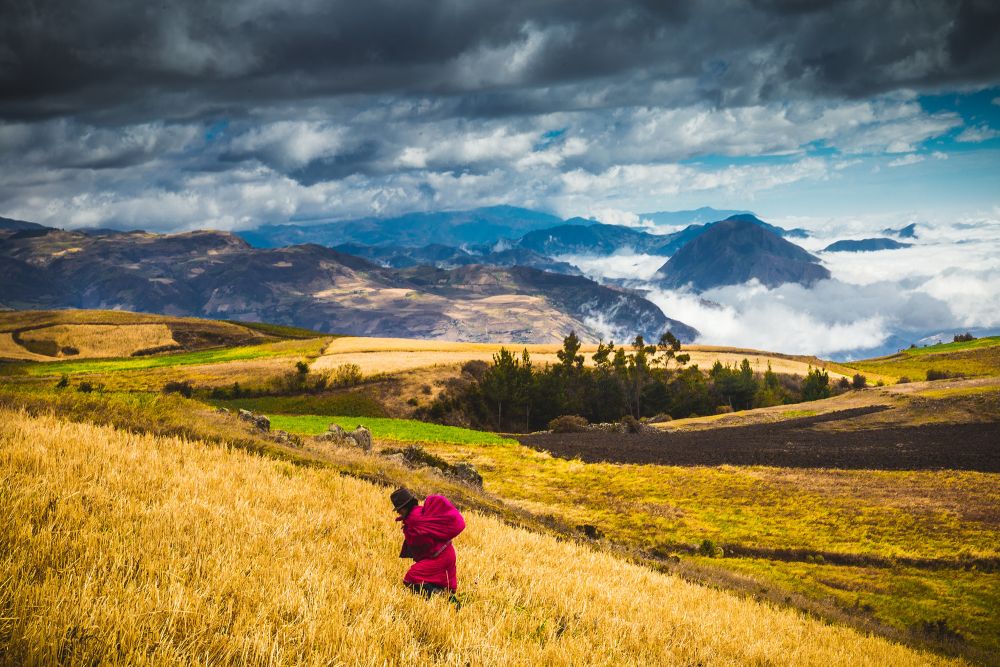 Jake Kincaid - Indigenous Andean communities of Peru and Ecuador ...