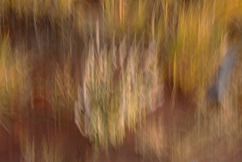 Michael Flatt - ICM impressions in Cental Australia 2023 | LensCulture