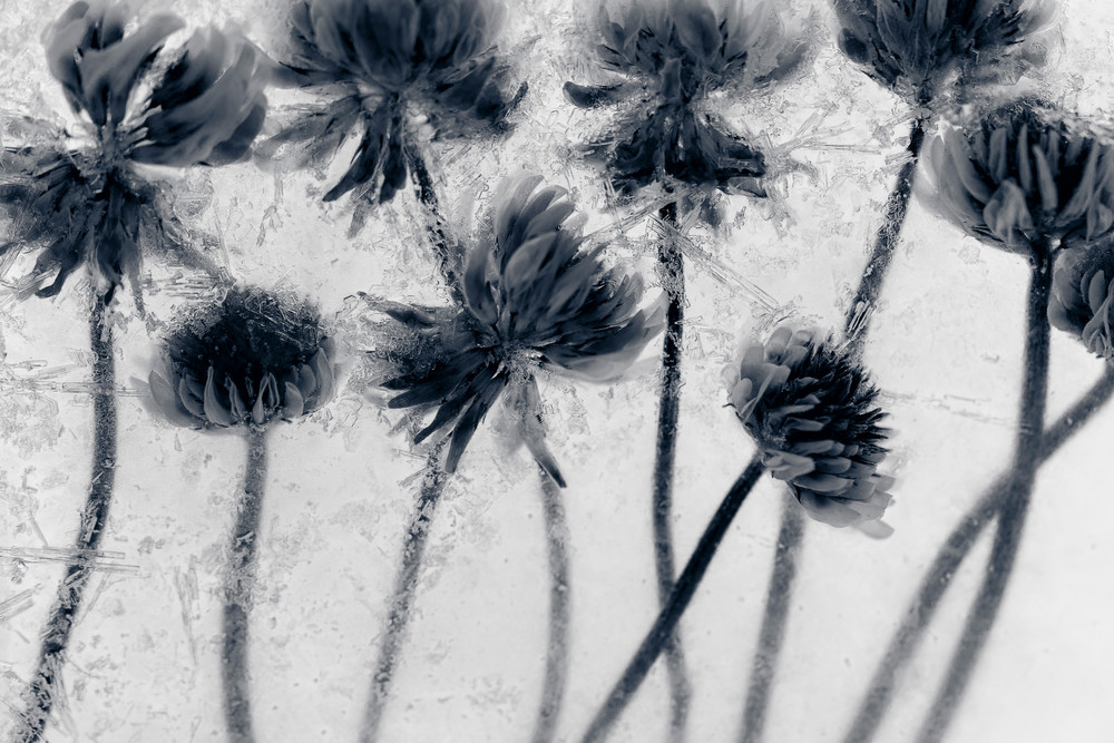 natalie perrin - Breaking the mental health barrier | LensCulture