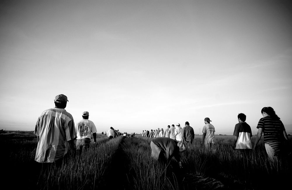 Cuando Estoy Aqui - Photographs and text by Brandon Thibodeaux ...