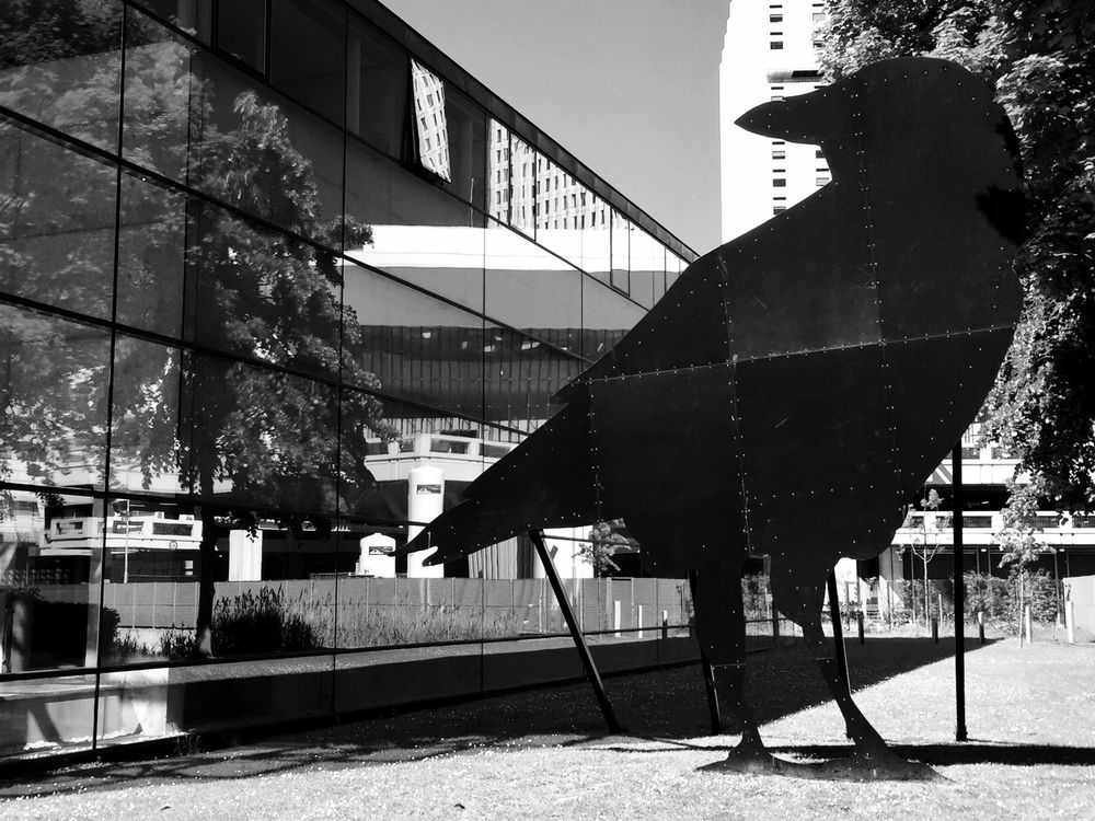 Geralda de Graaf - City image (stad in beeld) Rotterdam | LensCulture