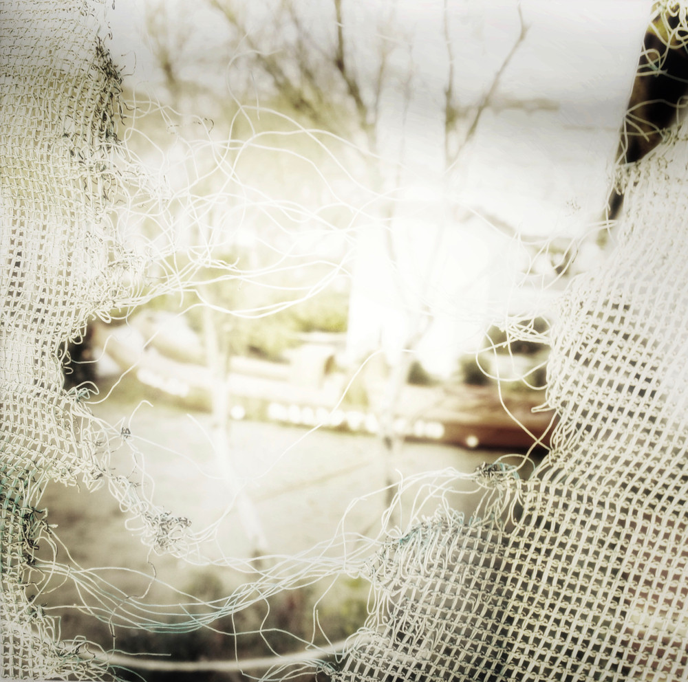 denise perry - WINTER SIDE SEA 1-5 | LensCulture