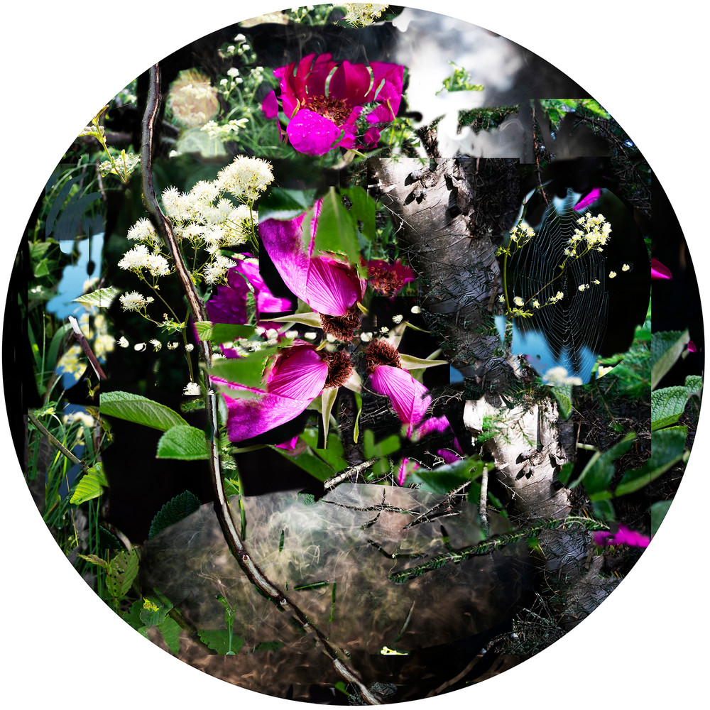 Jessica Watson - Photo Synthesis | LensCulture