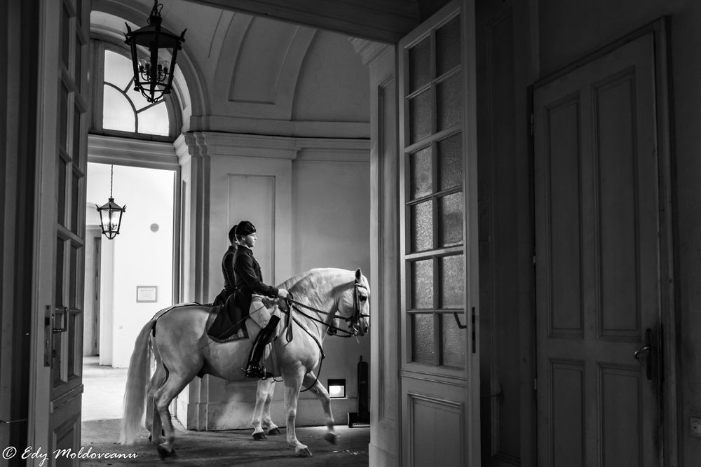 Edy Daniel Moldoveanu - Black and White | LensCulture