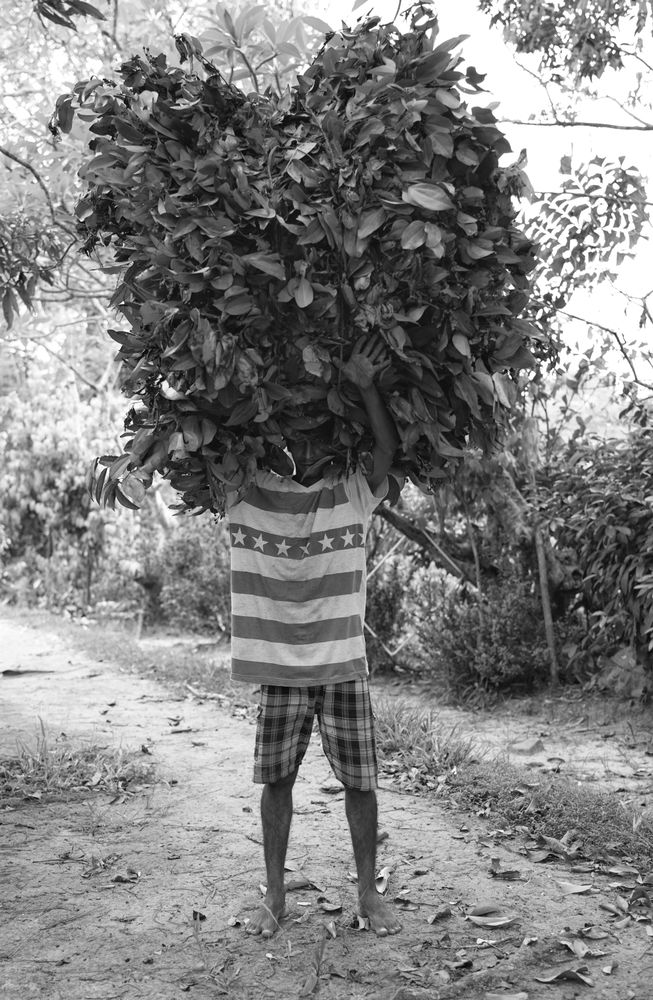 Owen Calvert - Exporting The Spirit of Ceylon | LensCulture