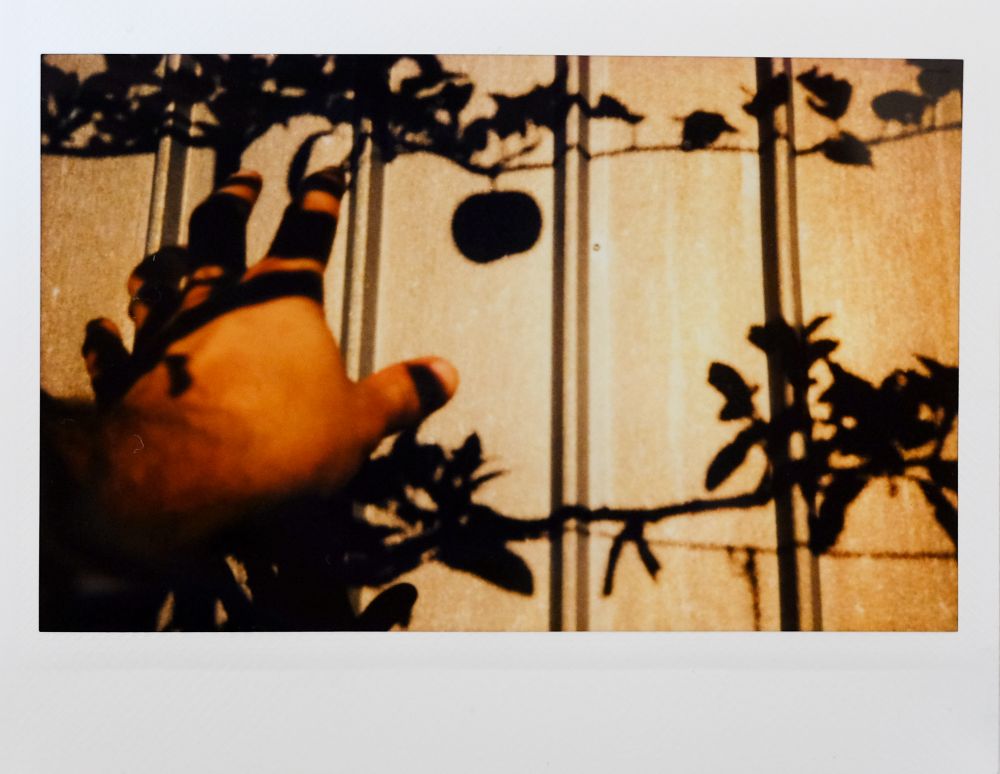 Stefan Neagu - Clin d'oeil | LensCulture