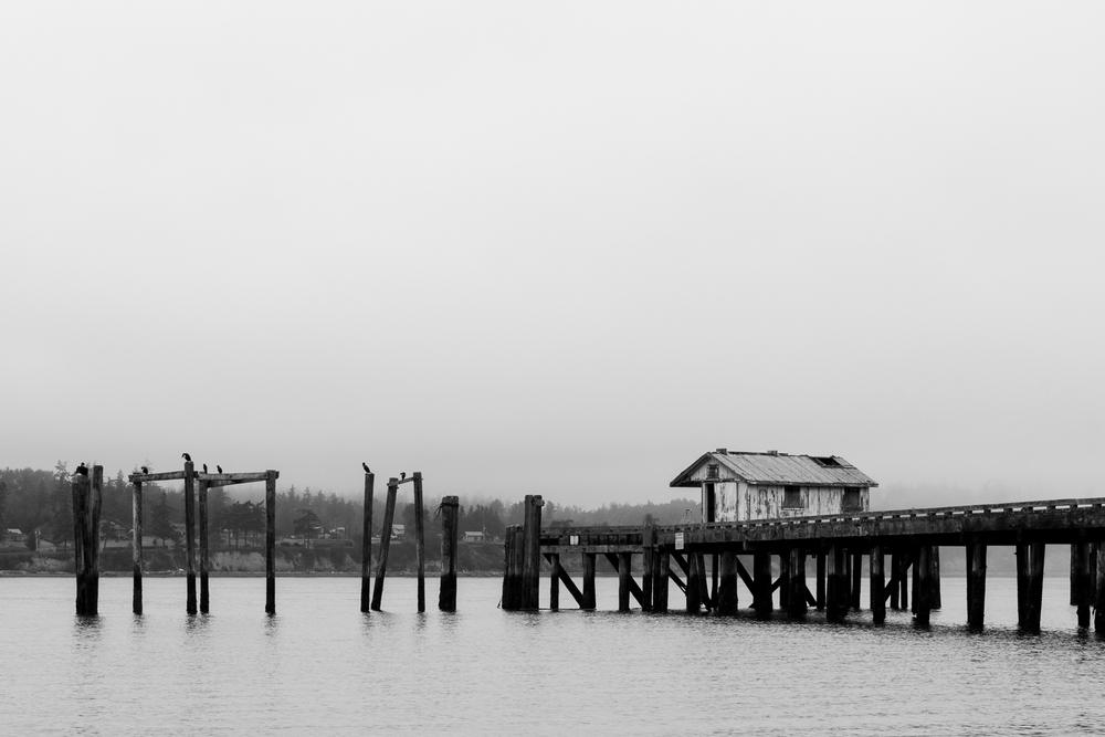 Josi Ribeiro - Submission B&W | LensCulture